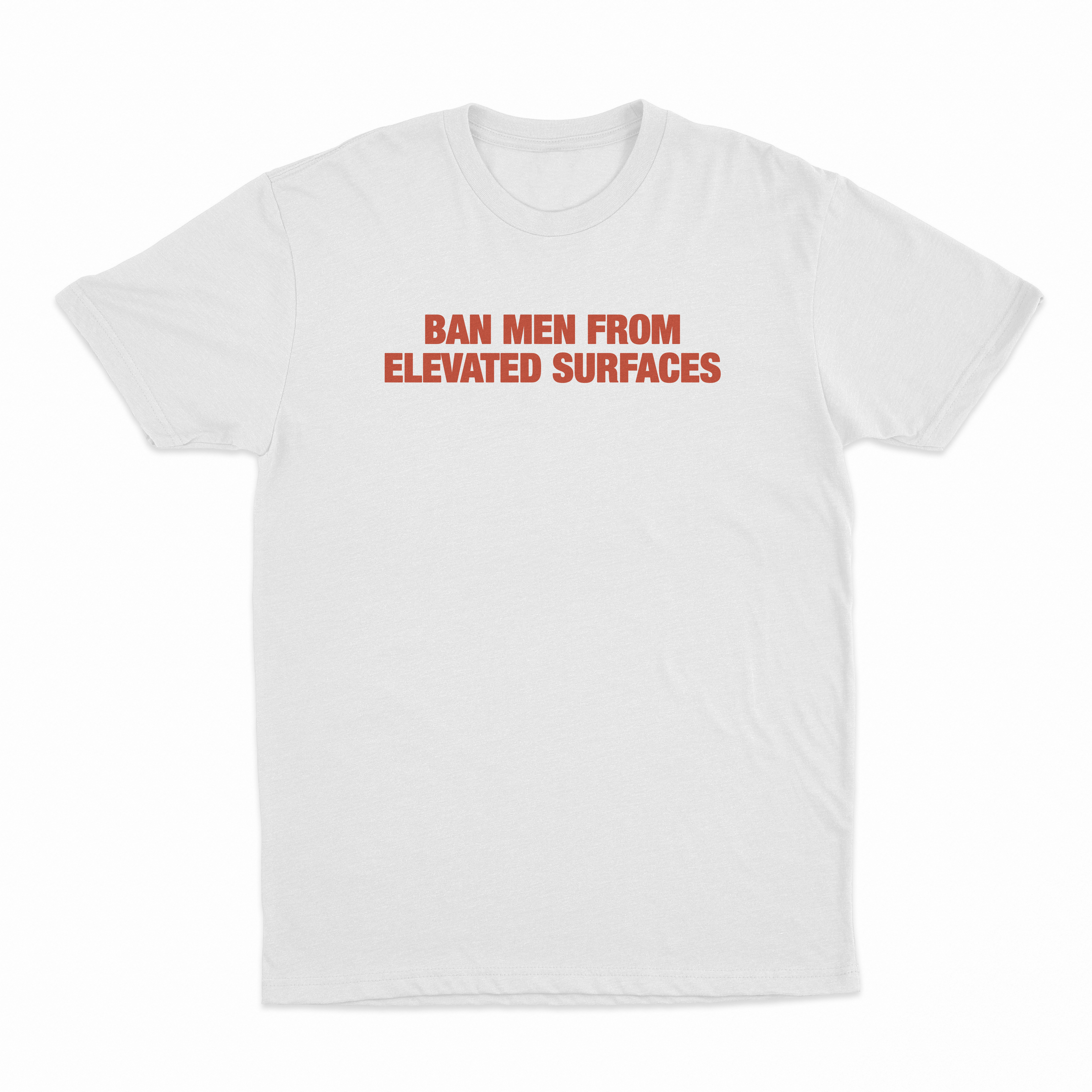 Ban Men From Elevated Surfaces T-Shirt – Delulu Designs